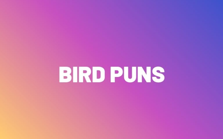 150+ Funny and Humorous Bird Puns - House Of Puns