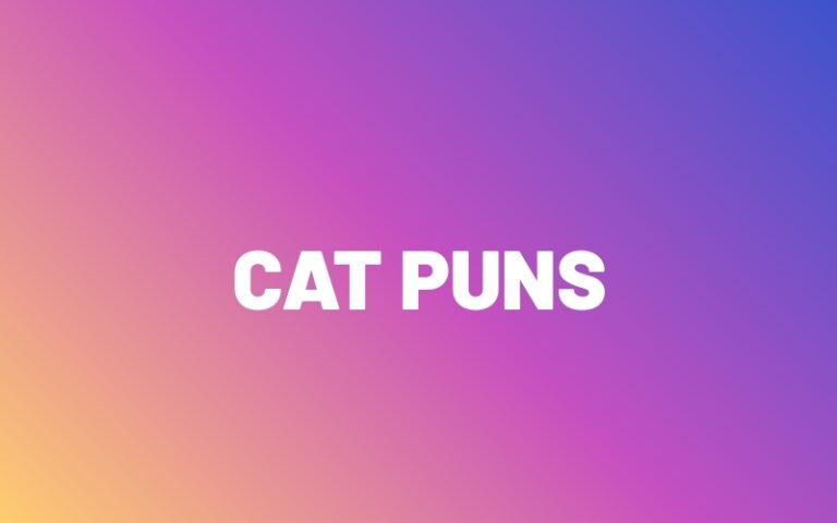 150+ Funny and Humorous Cat Puns - House Of Puns